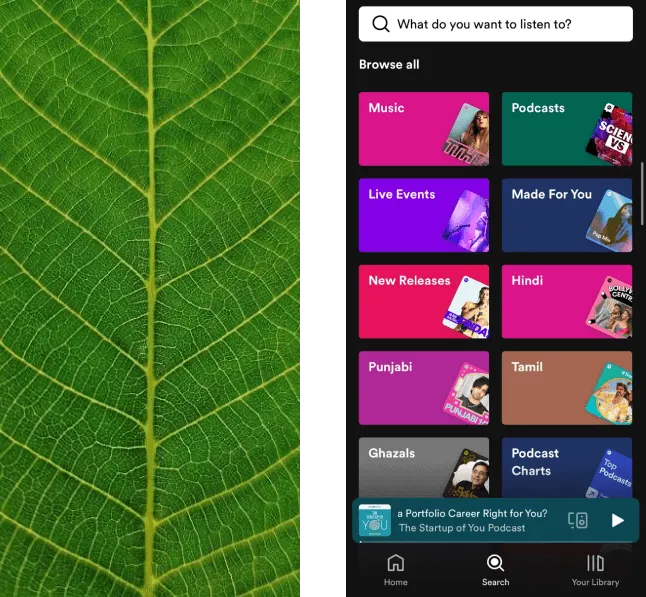Form Does Not Follow Function Decoding With Neuroscience